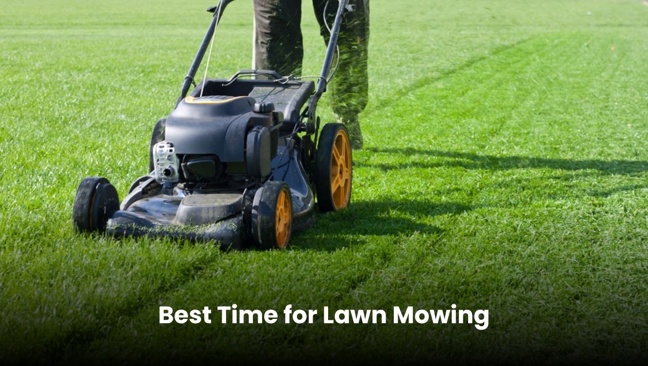 Best Time for Lawn Mowing