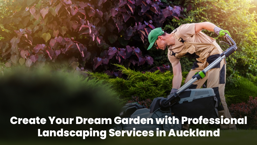 Create Your Dream Garden with Professional Landscaping Services in Auckland