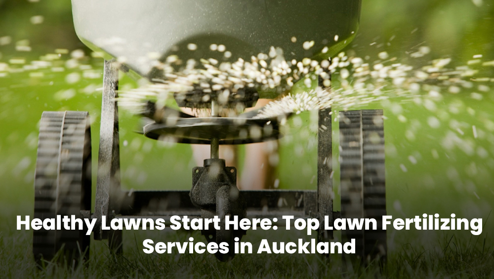 Top Lawn Fertilizing Services in Auckland