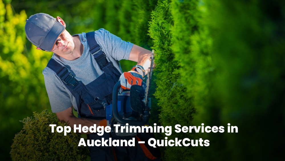Top Hedge Trimming Services in Auckland