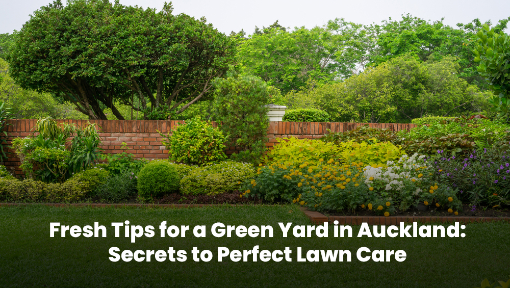 Fresh Tips for Green Yard Auckland: Secrets to Perfect Lawn Care
