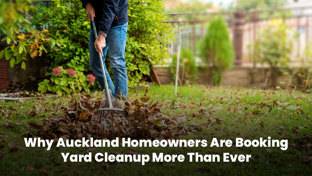 Why Auckland Homeowners Are Booking Yard Cleanup More Than Ever