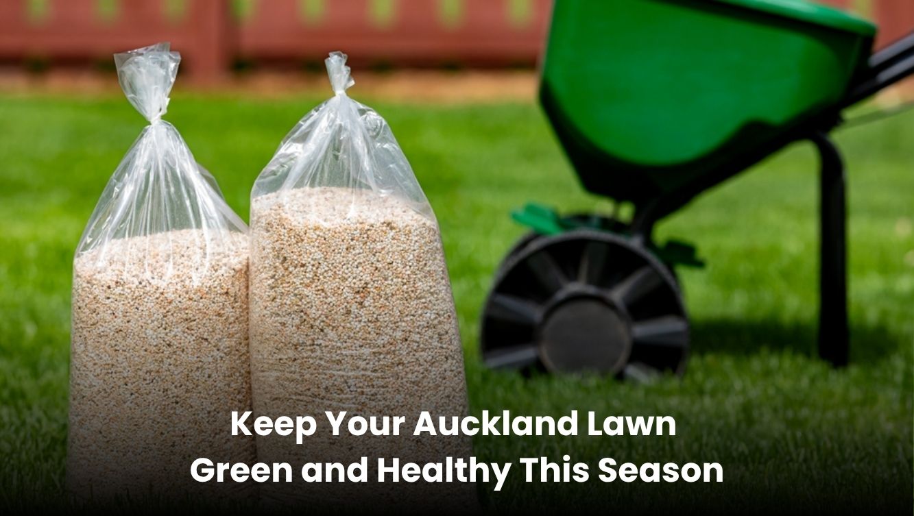 Keep Your Auckland Lawn Green and Healthy This Season
