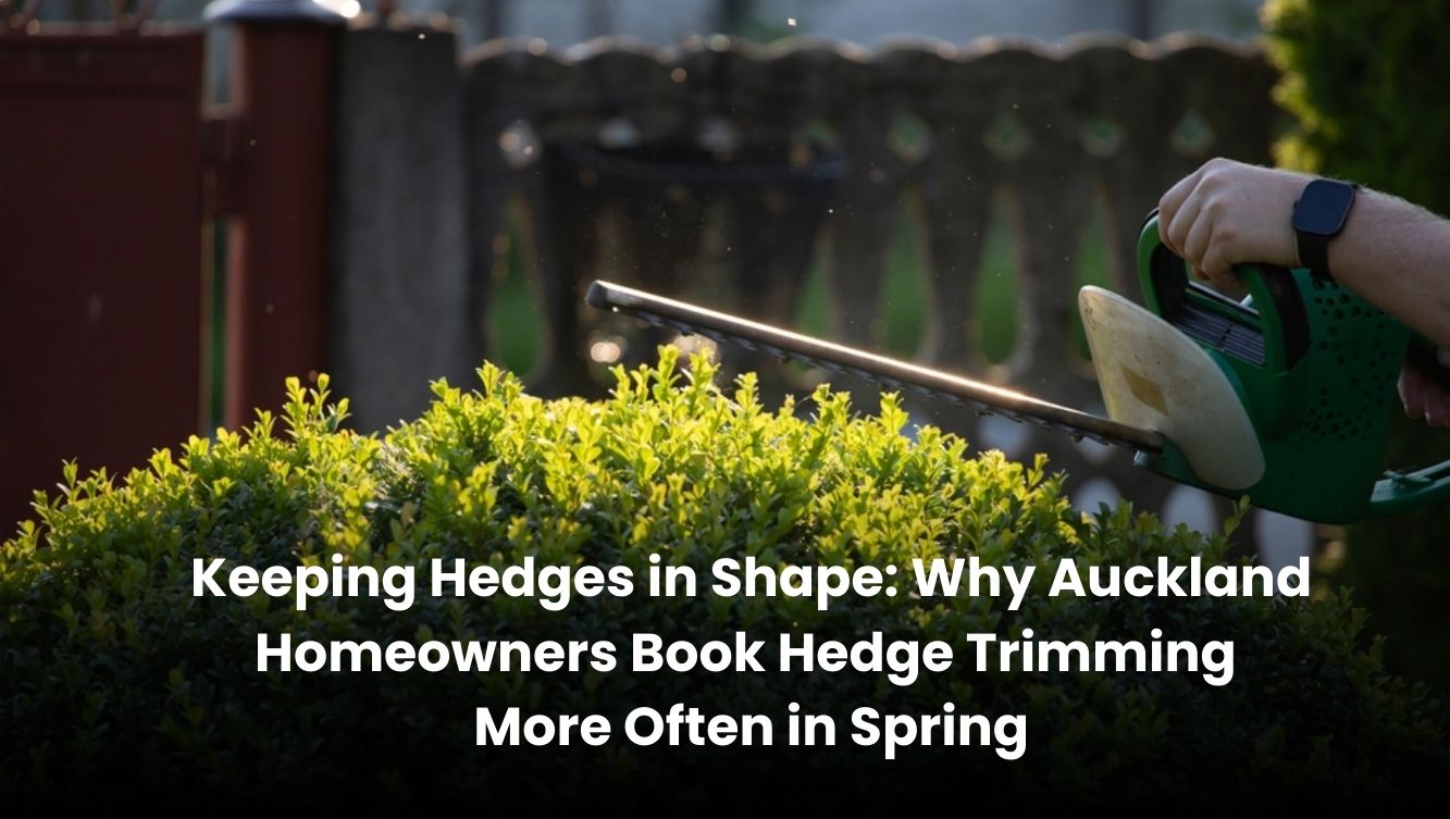 Keeping Hedges in Shape: Why Auckland Homeowners Book Hedge Trimming ...