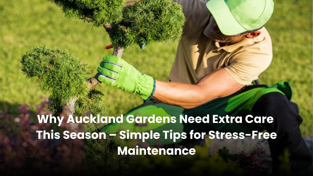 Why Auckland Gardens Need Extra Care This Season – Simple Tips for ...