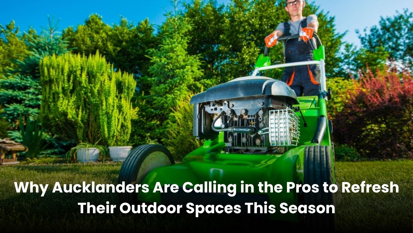Why Aucklanders Are Calling in the Pros to Refresh Their Outdoor Spaces ...