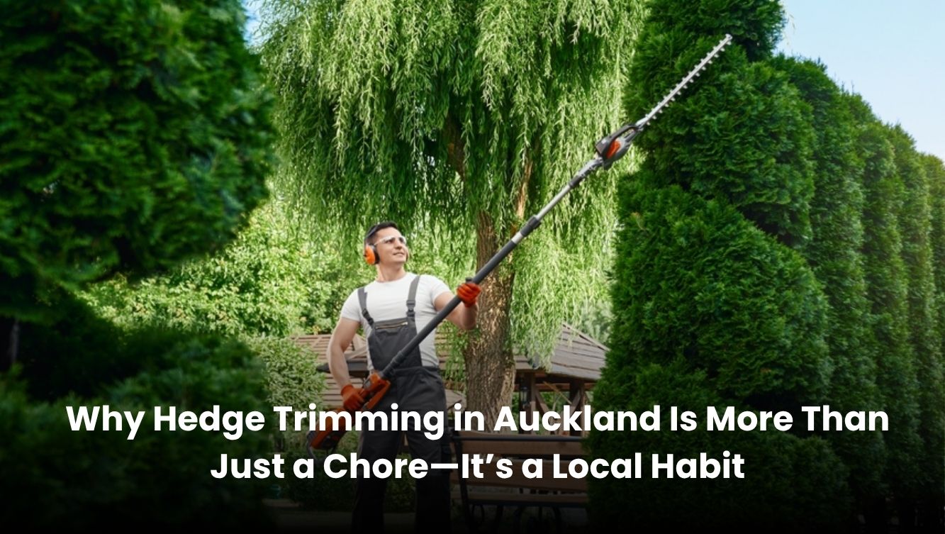 Why Hedge Trimming in Auckland Is More Than Just a Chore—It’s a Local Habit