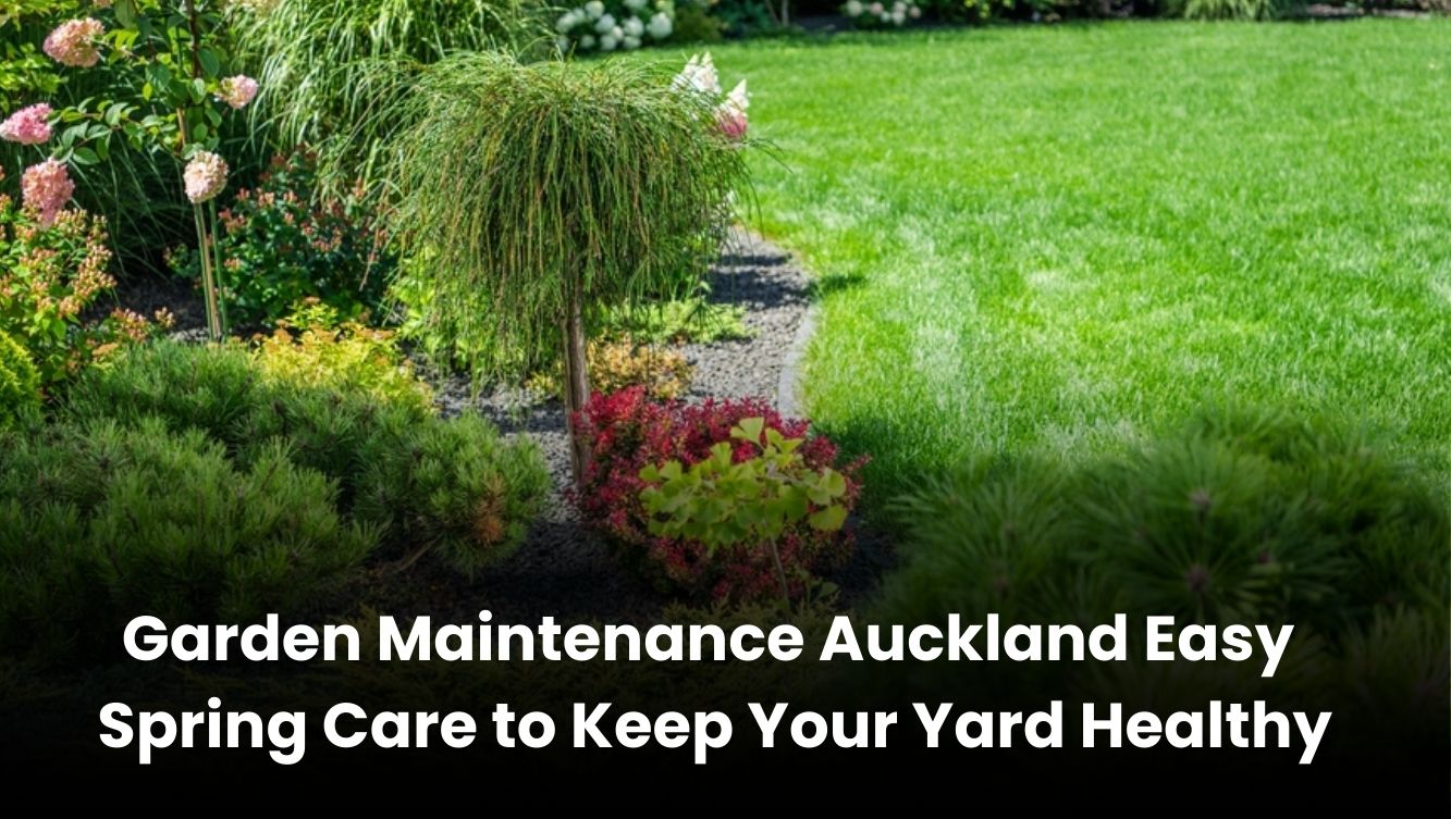 Garden Maintenance Auckland: Easy Spring Care to Keep Your Yard Healthy