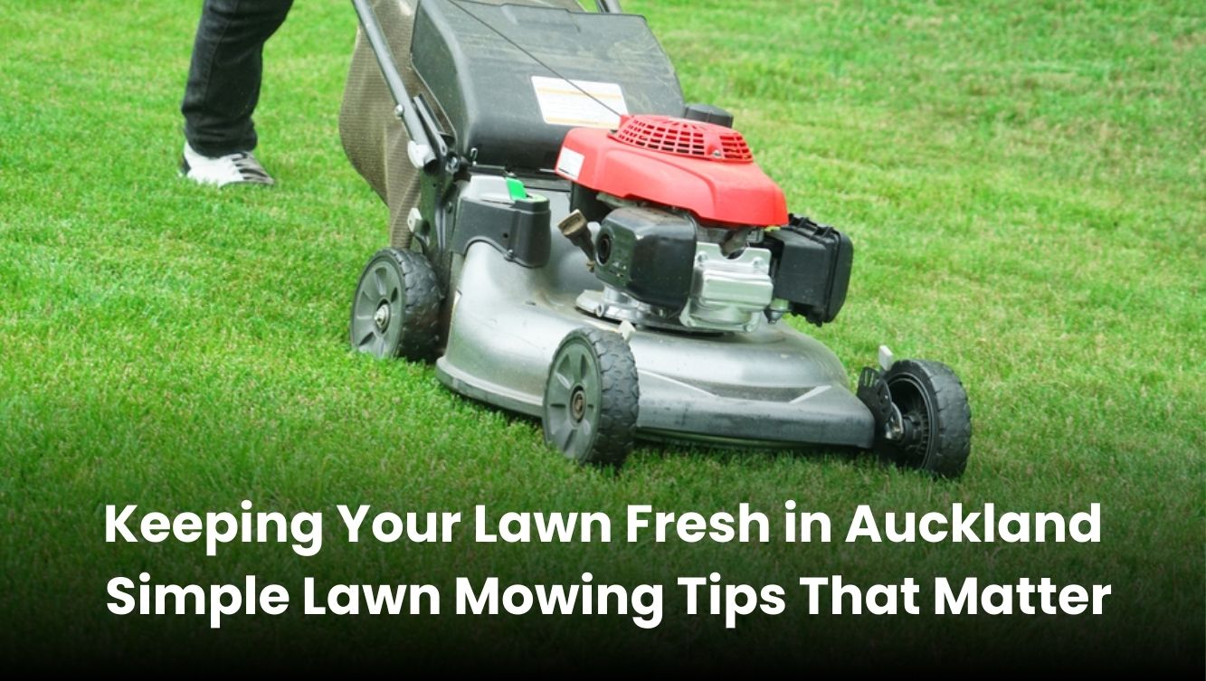 Keeping Your Lawn Fresh in Auckland: Simple Lawn Mowing Tips That Matter