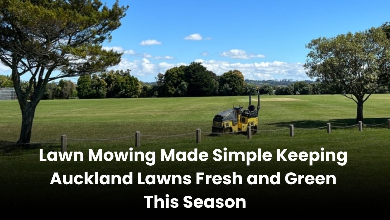 Lawn Mowing Made Simple: Keeping Auckland Lawns Fresh and Green This Season