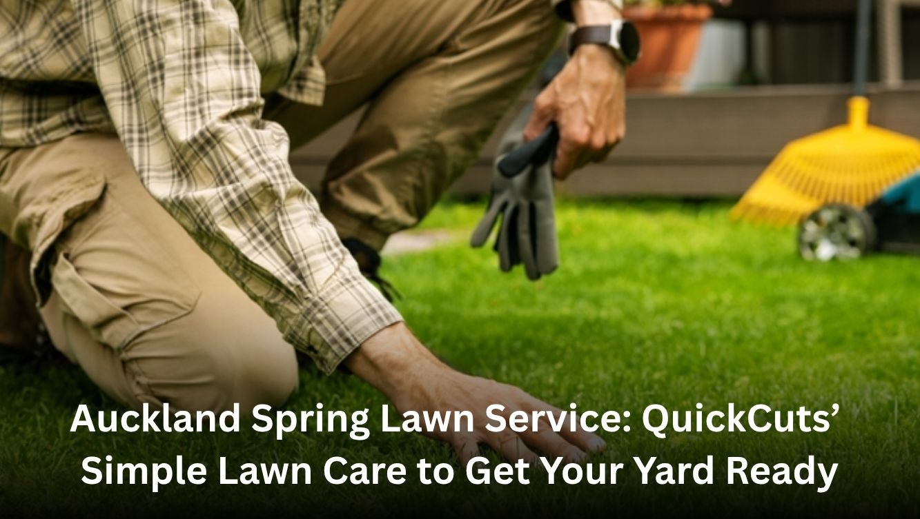 Auckland Spring Lawn Service: QuickCuts’ Simple Lawn Care to Get Your ...