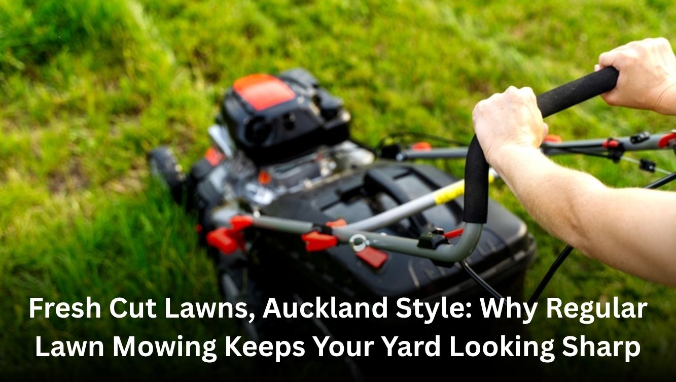 Fresh Cut Lawns, Auckland Style: Why Regular Lawn Mowing Keeps Your ...