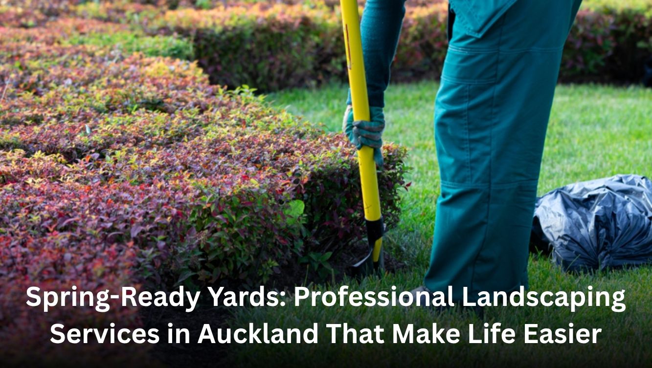 Spring-Ready Yards: Professional Landscaping Services in Auckland That ...