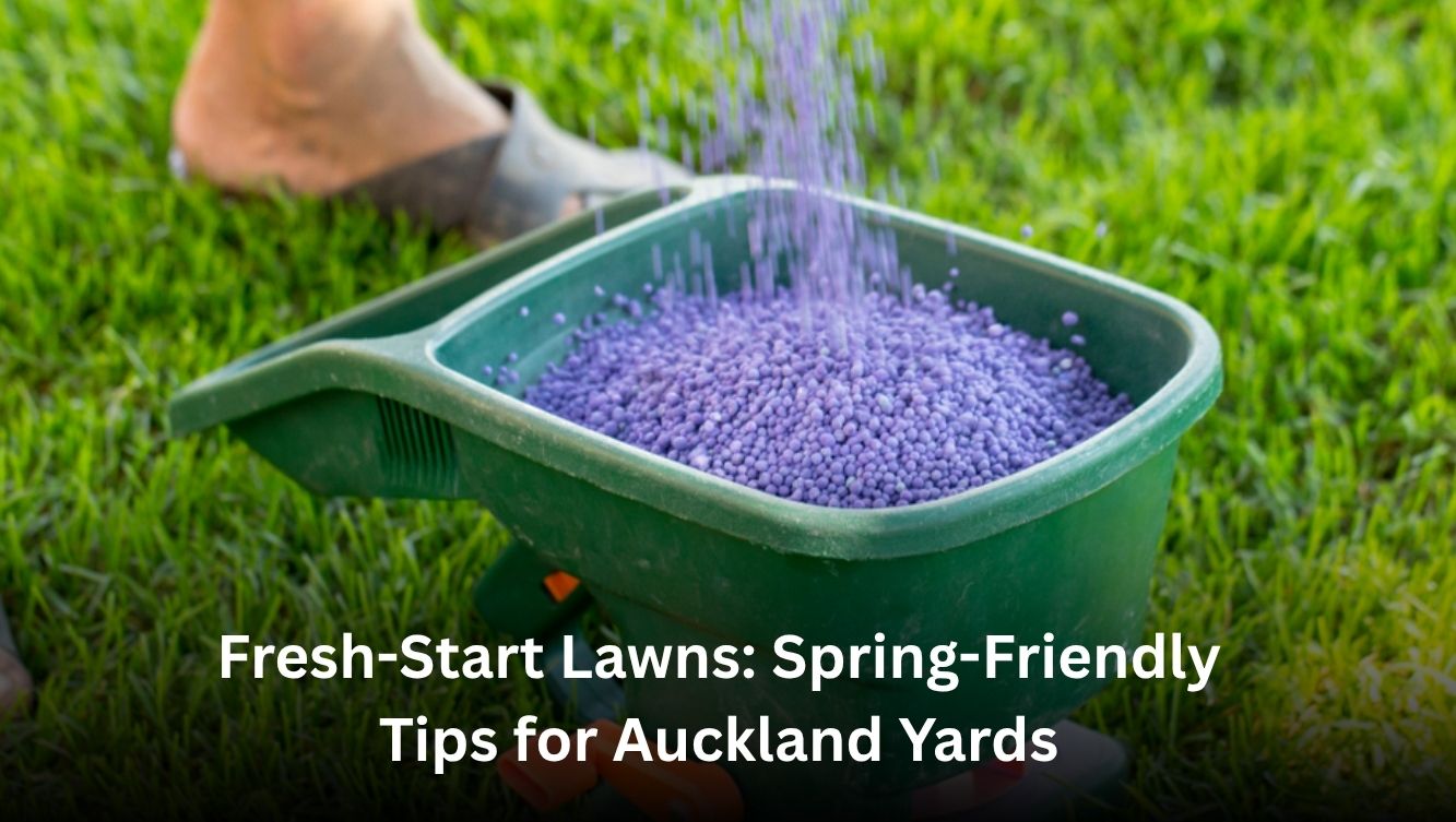 Fresh-Start Lawns: Spring-Friendly Tips for Auckland Yards