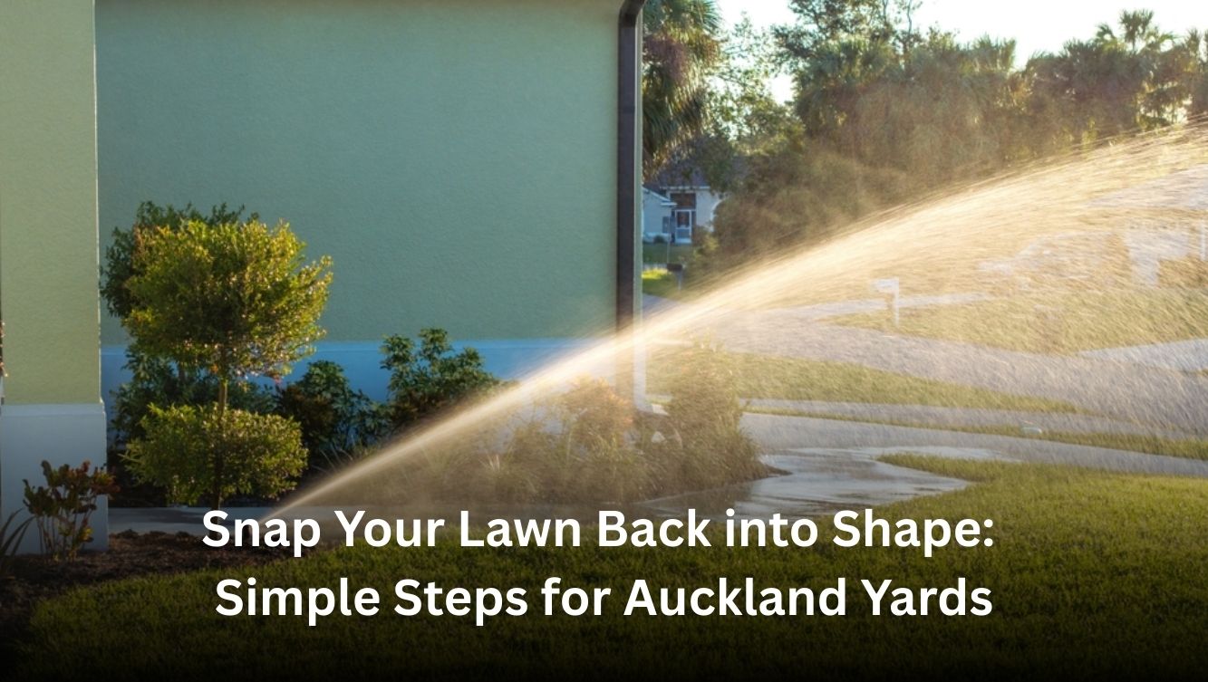 Snap Your Lawn Back into Shape: Simple Steps for Auckland Yards