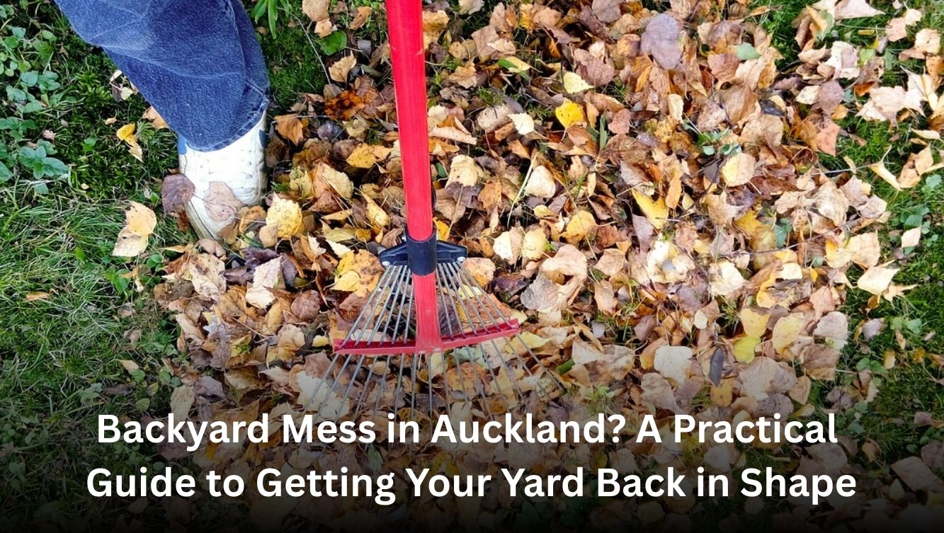 Backyard Mess in Auckland? A Practical Guide to Getting Your Yard Back ...