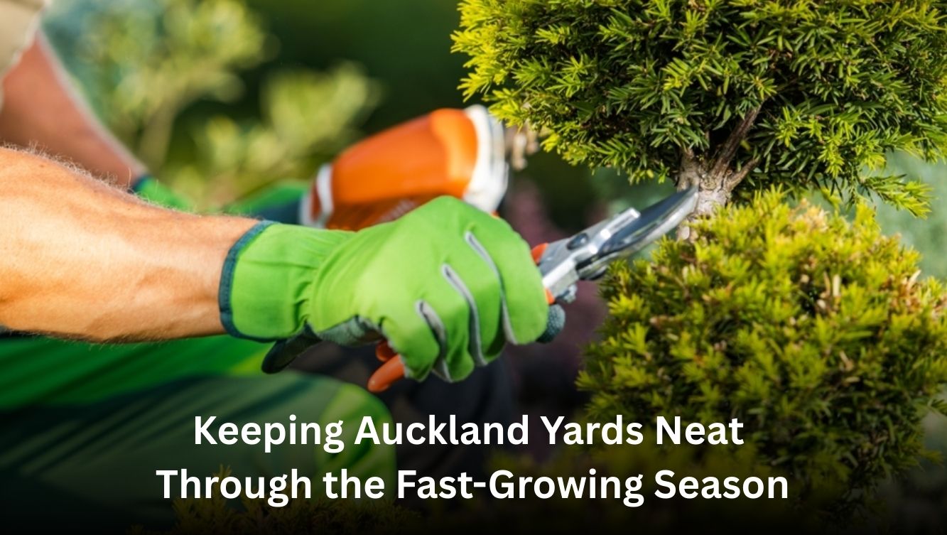 Keeping Auckland Yards Neat Through the Fast-Growing Season