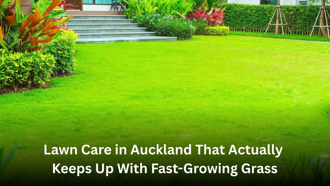 Lawn Care in Auckland That Actually Keeps Up With Fast-Growing Grass