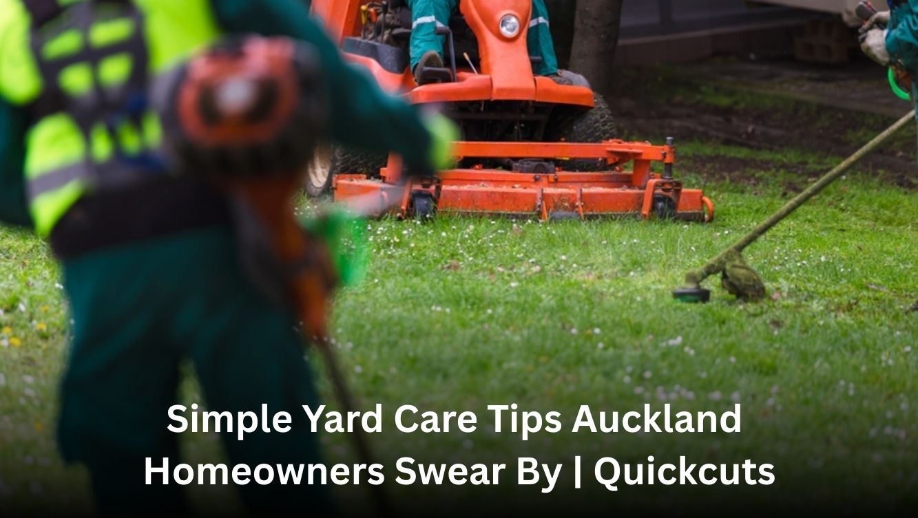 Simple Yard Care Tips Auckland Homeowners Swear By | Quickcuts