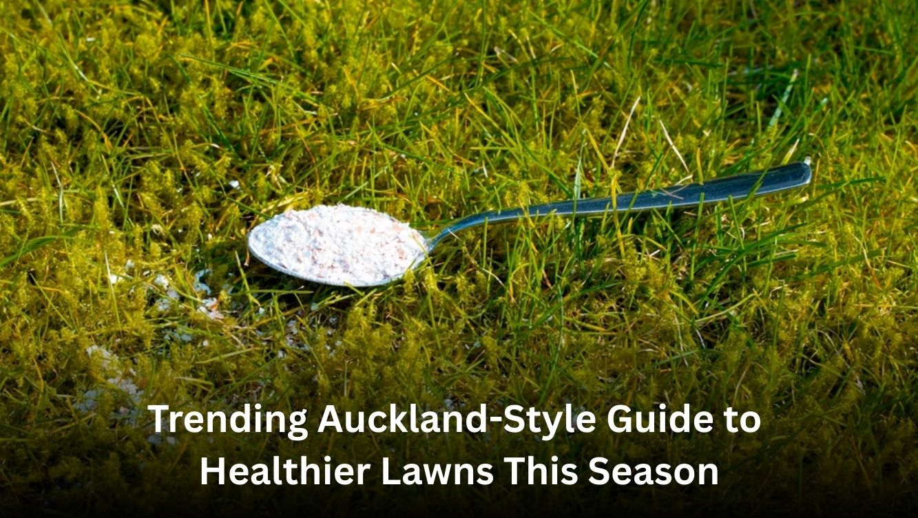 Trending Auckland-Style Guide to Healthier Lawns This Season