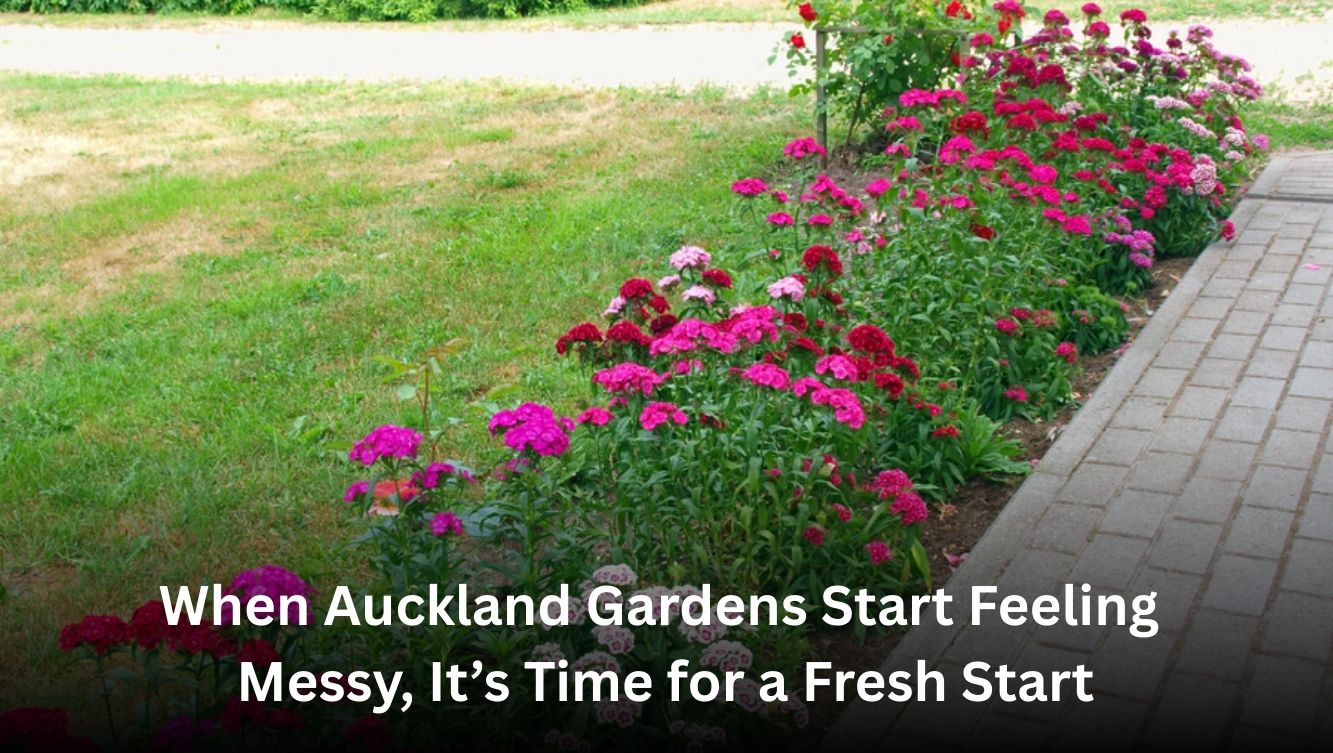 When Auckland Gardens Start Feeling Messy, It’s Time for a Fresh Start
