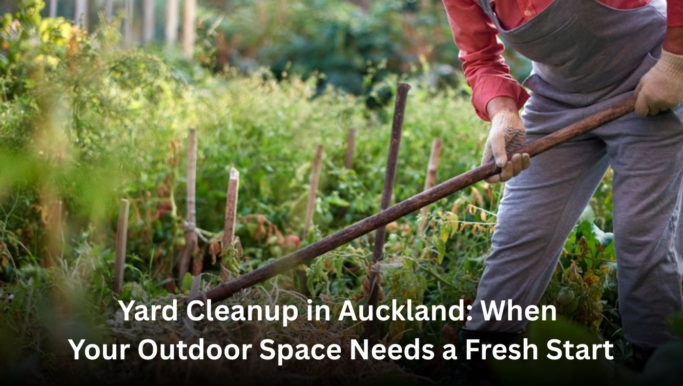 Yard Cleanup in Auckland: When Your Outdoor Space Needs a Fresh Start