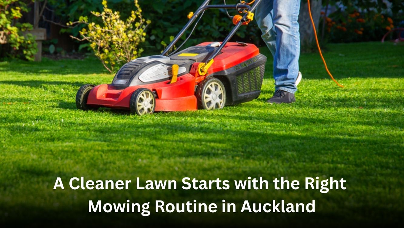 A Cleaner Lawn Starts with the Right Mowing Routine in Auckland