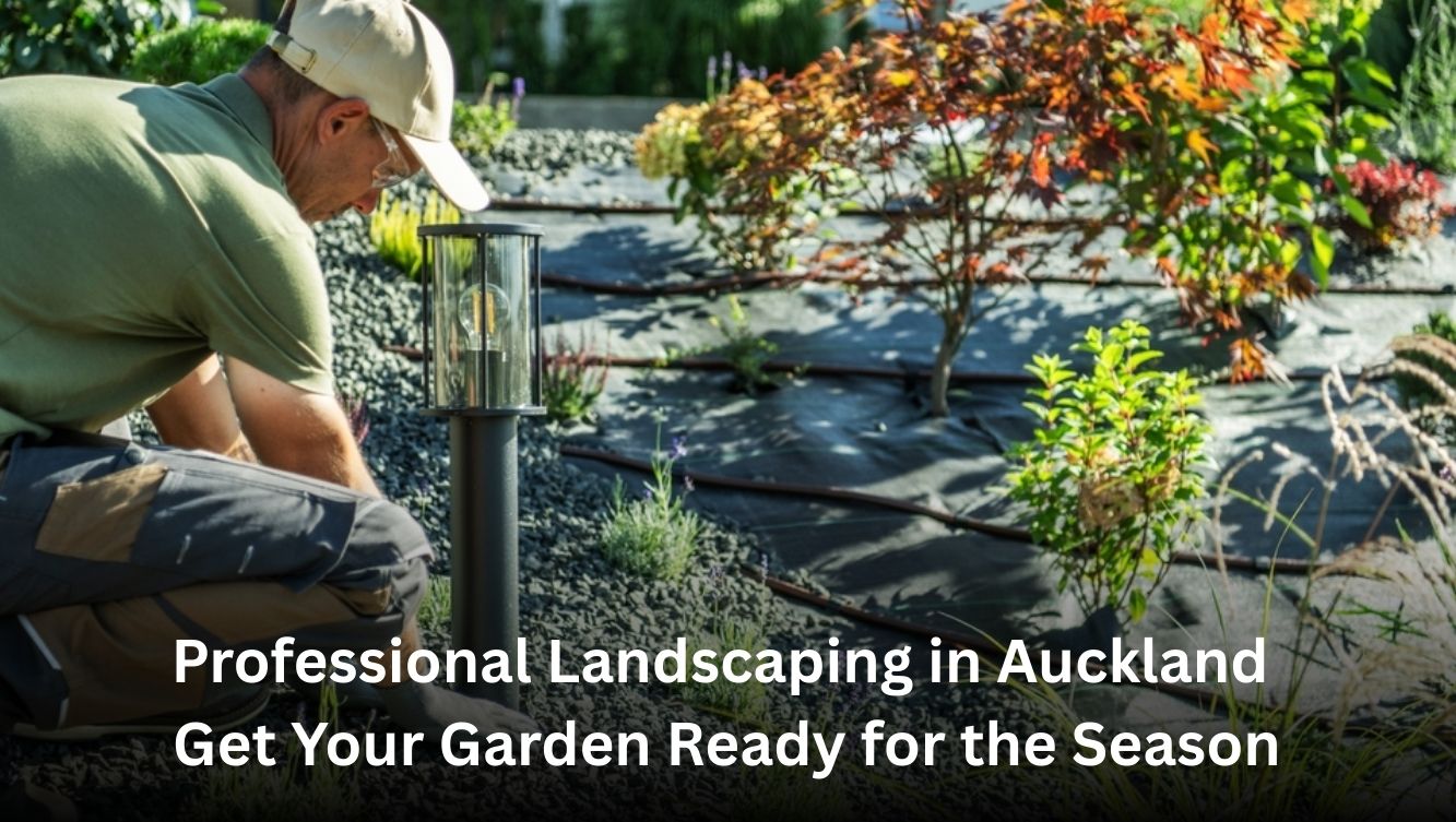 Professional Landscaping in Auckland: Get Your Garden Ready for the Season